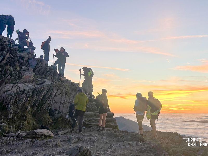National Three Peaks | Dogs Trust